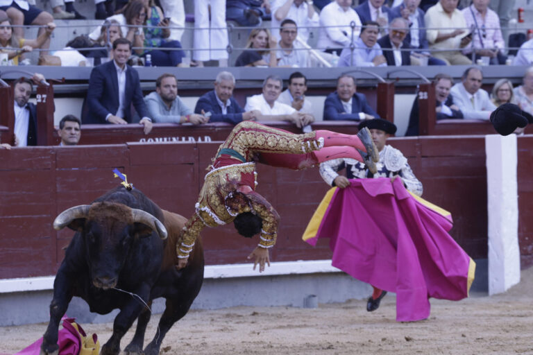 VIDEOS: La aparatosa cogida que sufrió el torero francés Clemente en ...
